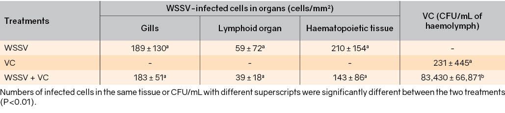 Revisiting vibriosis in shrimp aquaculture - Aqua Culture Asia Pacific