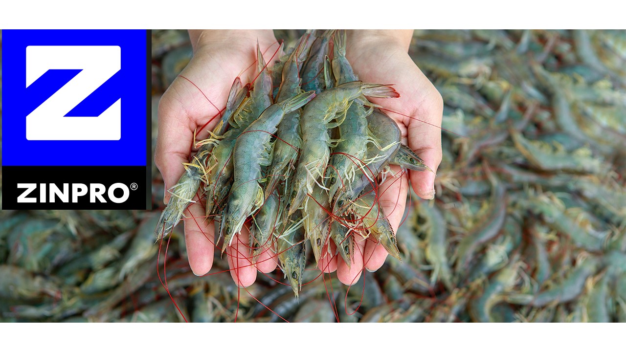 Leading Animal Nutrition Company celebrates 50th Anniversary with a ...