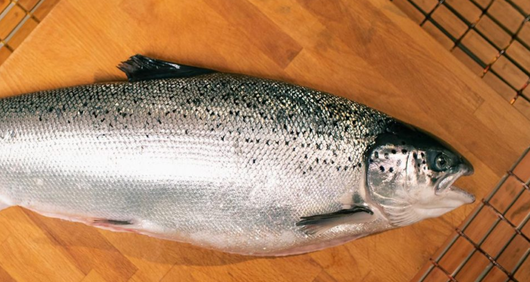 Pure Salmon partners ADIO, establishes HQ in Abu Dhabi - Aqua Culture ...