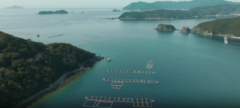 Ehime Prefecture sea bream farm is Japan’s first facility to be BAP ...