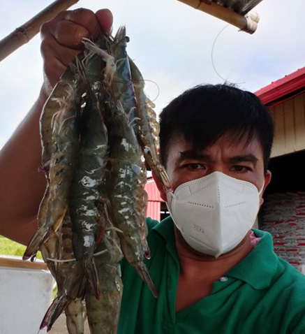 A proactive approach on shrimp culture: A farm experience in Central ...