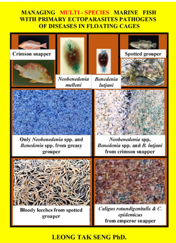 Book review: Managing Multi-Species Marine Finfish with Primary ...