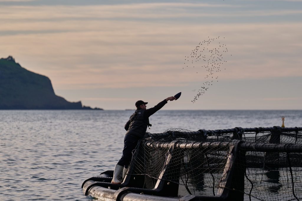 Akaroa King Salmon achieves world first with innovative Blue Impact ...