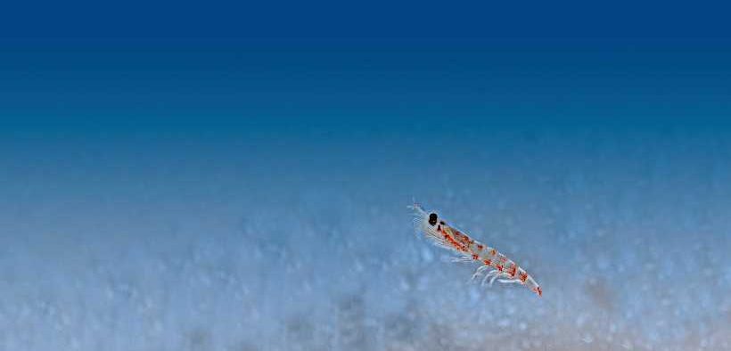 Aker QRILL Company launched - an industry leader built on a legacy of ...