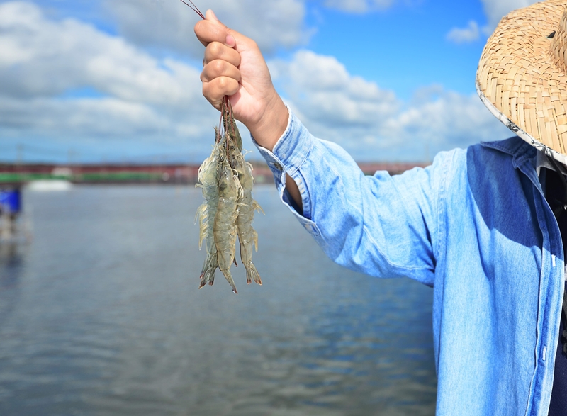 Thai Union received USD 150 million Blue loan from ADB to advance ...